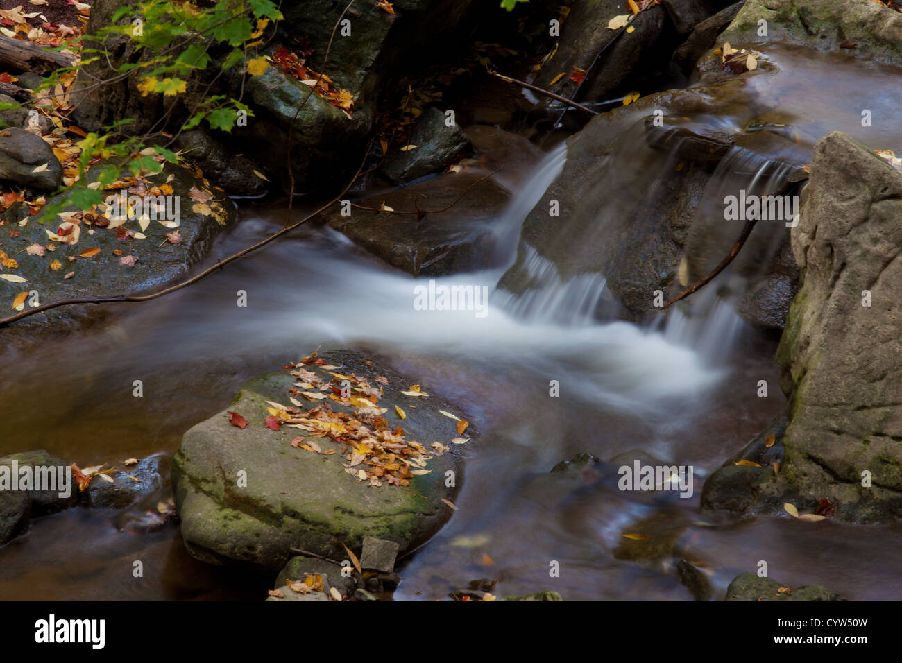 Waterfall in autumn, Hamilton, Ontario, Canada Stock Photo - Alamy