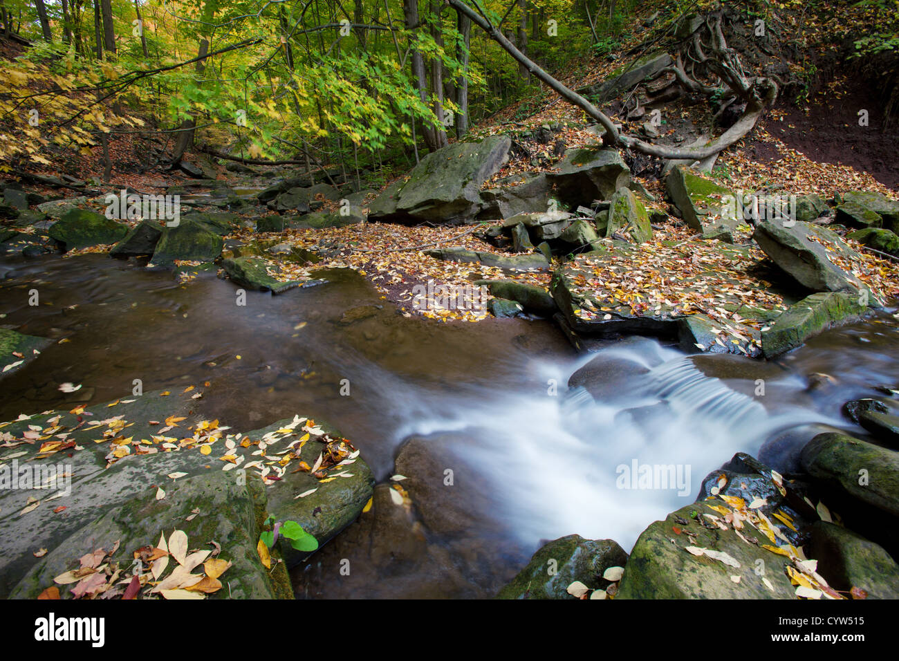 Waterfall in autumn, Hamilton, Ontario, Canada Stock Photo - Alamy