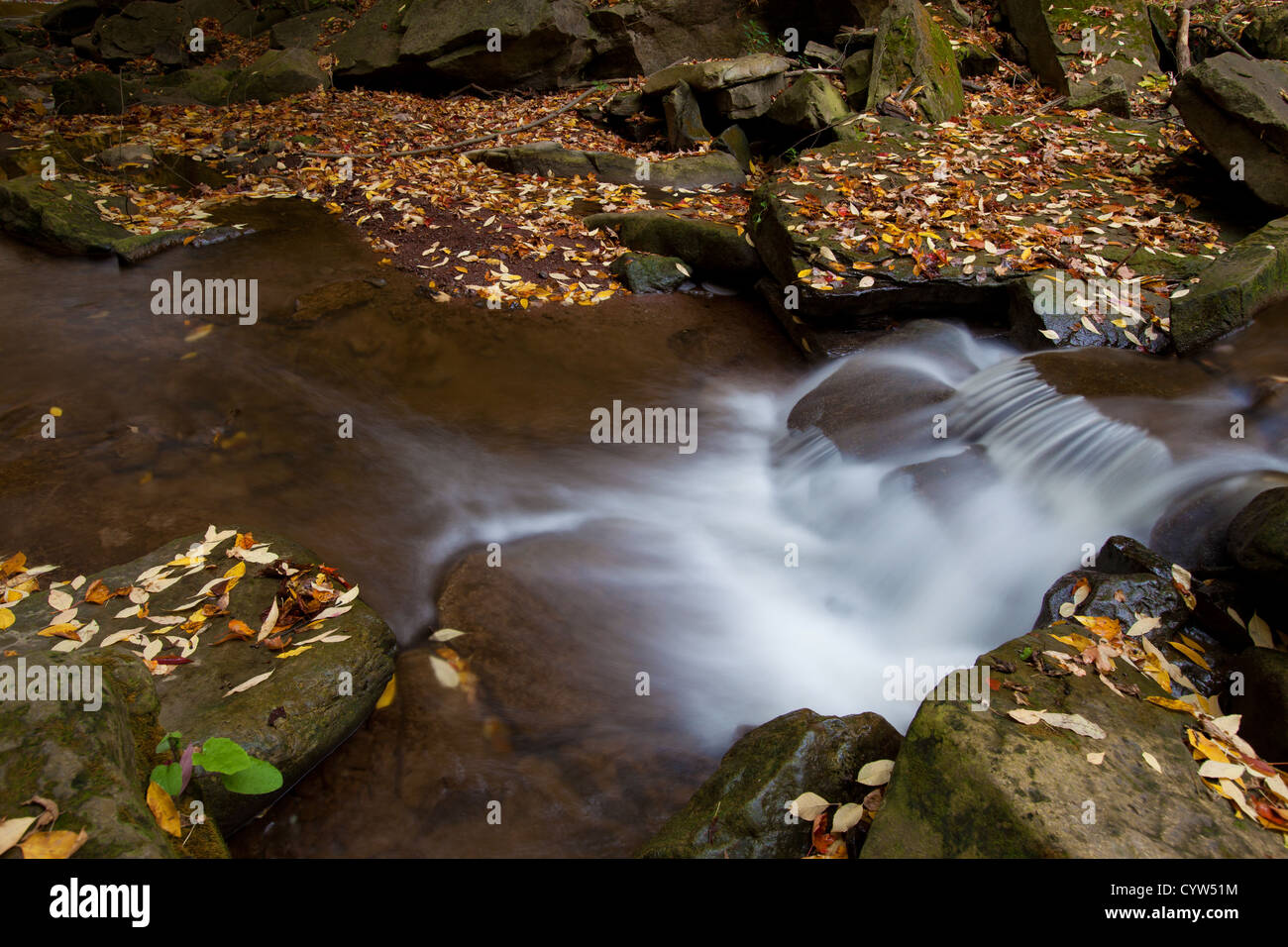 Waterfall in autumn, Hamilton, Ontario, Canada Stock Photo - Alamy