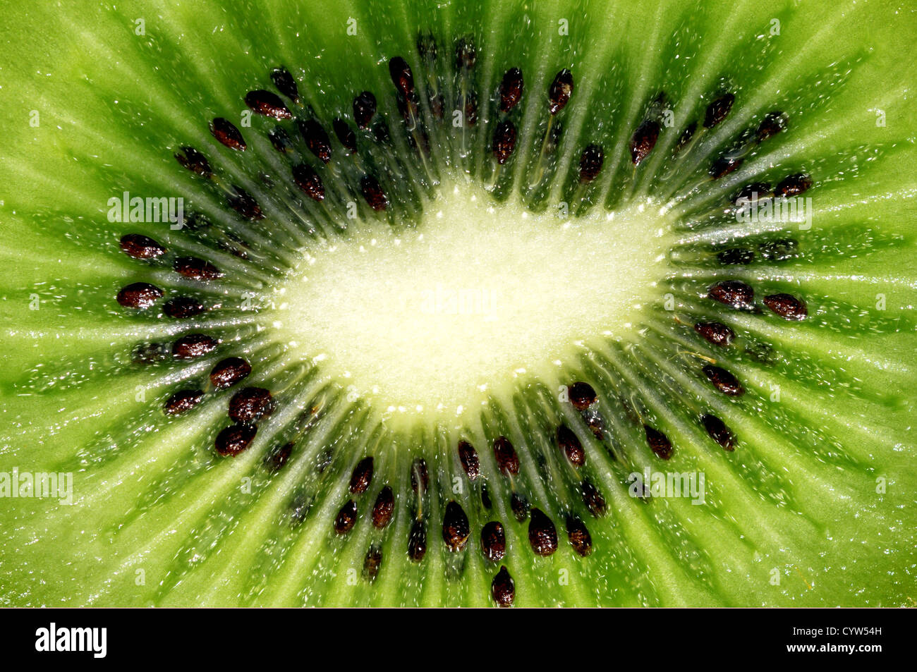 Kiwi fruit slice Stock Photo - Alamy