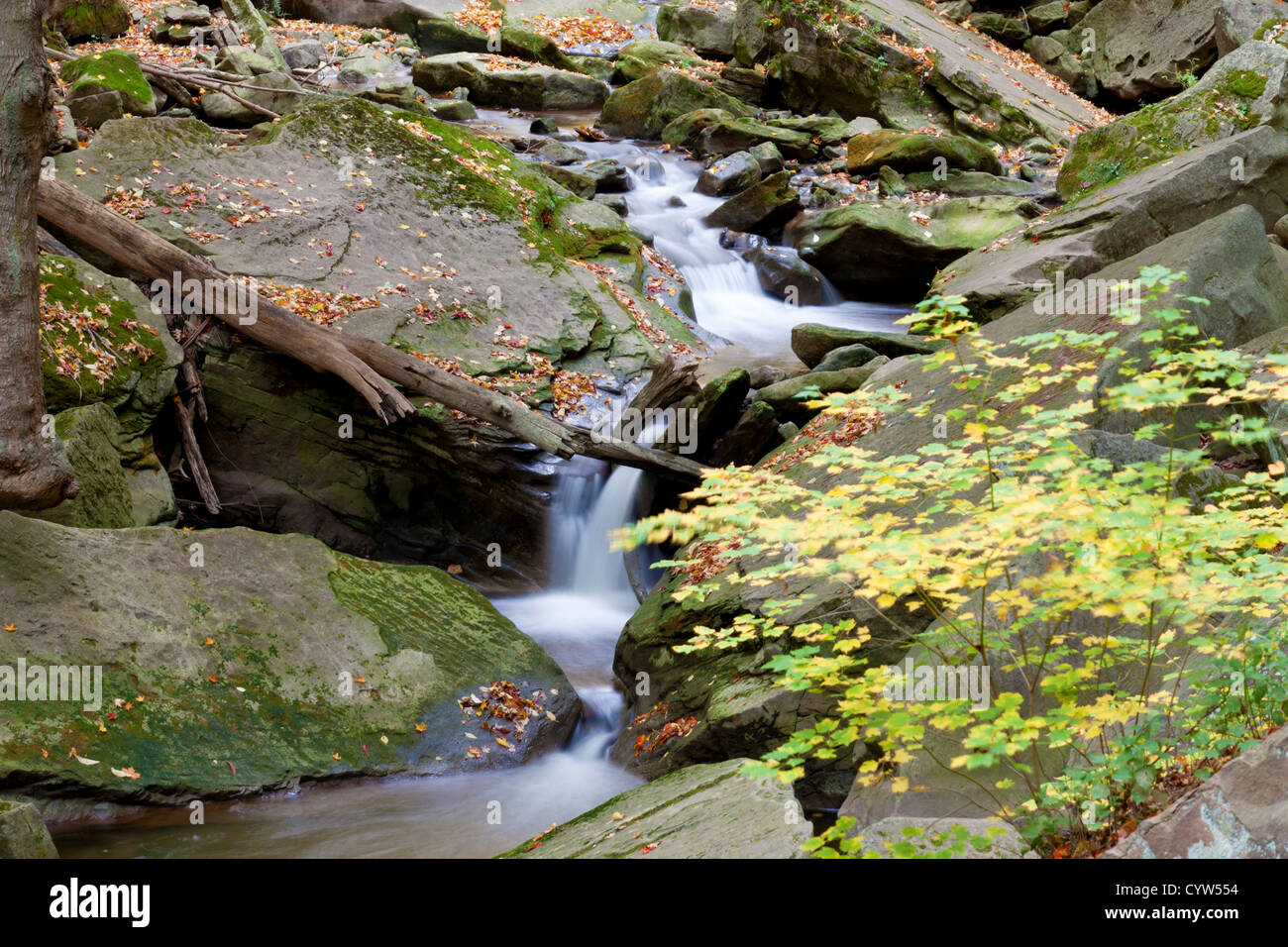 Hamilton canada waterfall hi-res stock photography and images - Alamy