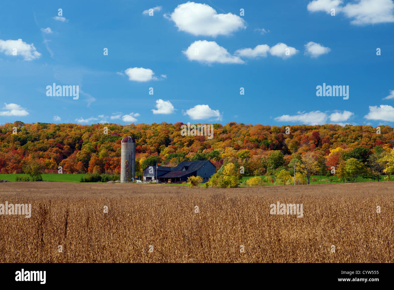 Canadian rural landscape in autumn colors Stock Photo - Alamy