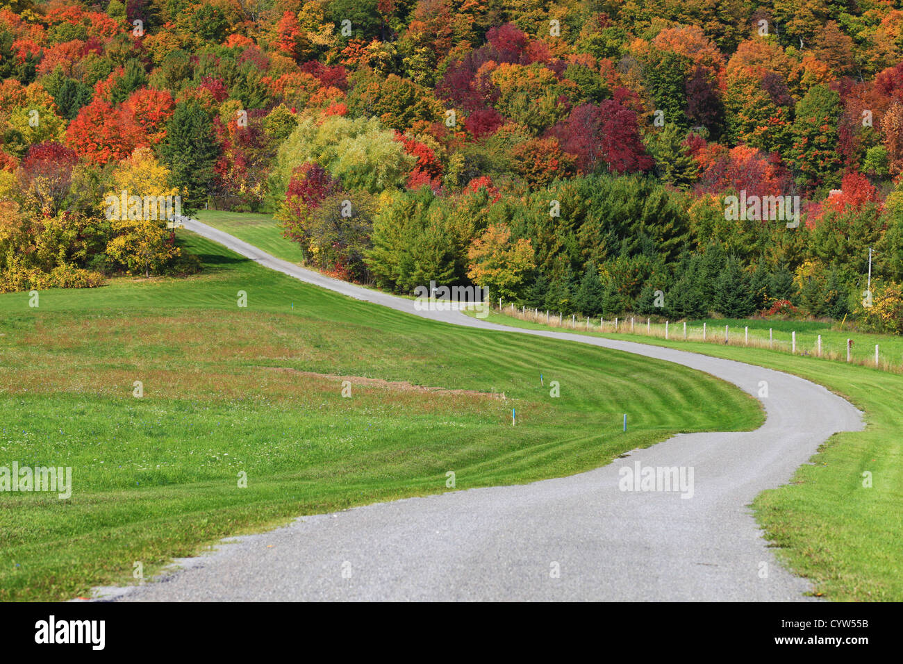 Canadian rural landscape in autumn colors Stock Photo - Alamy