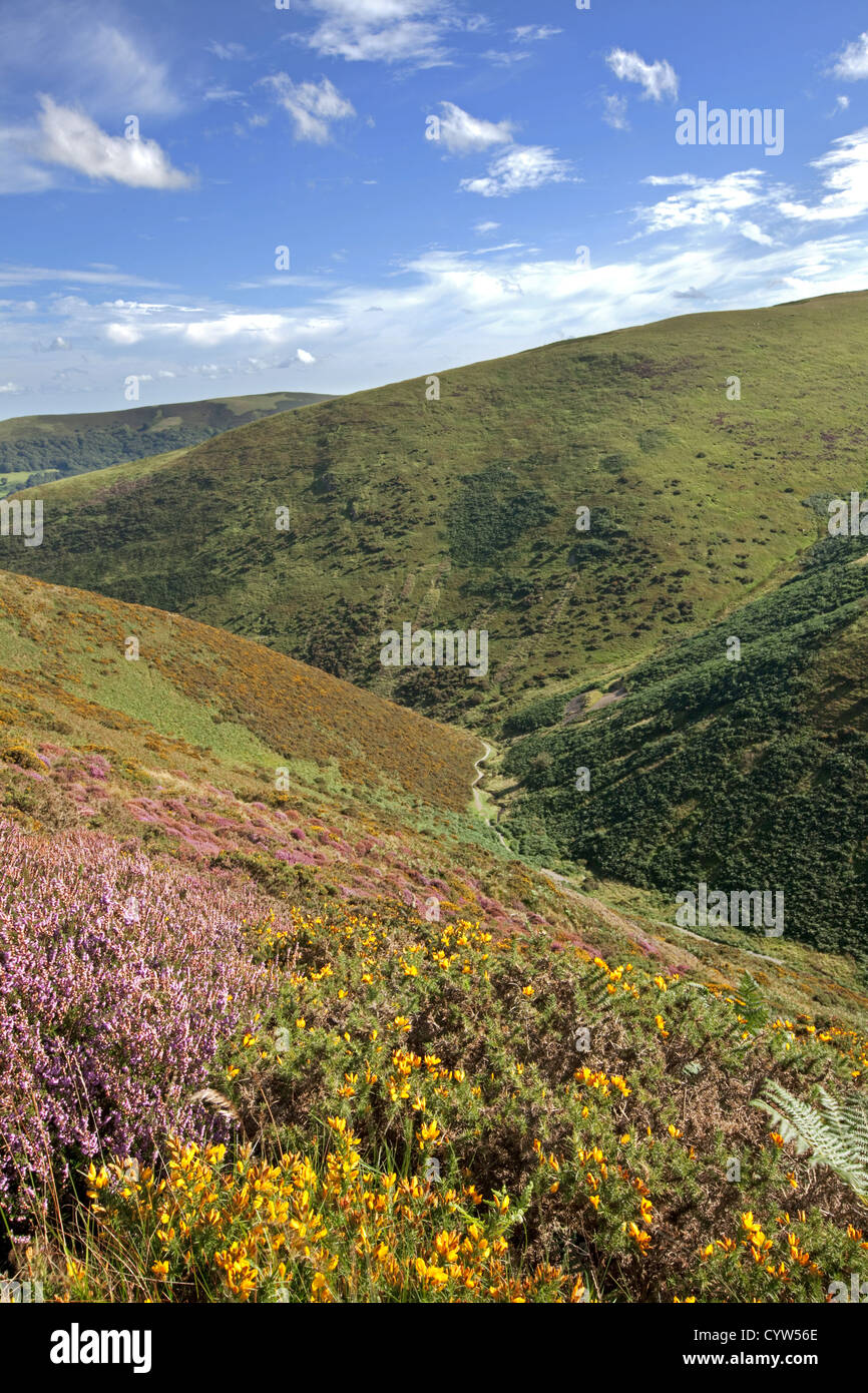 Heather Church High Resolution Stock Photography and Images - Alamy