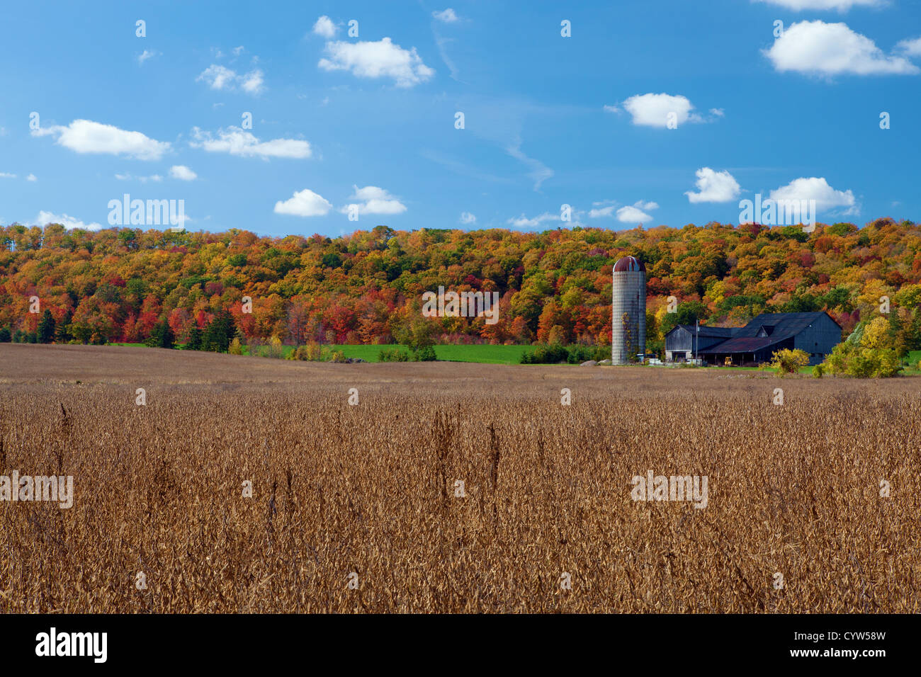 Canadian rural landscape in autumn colors Stock Photo - Alamy