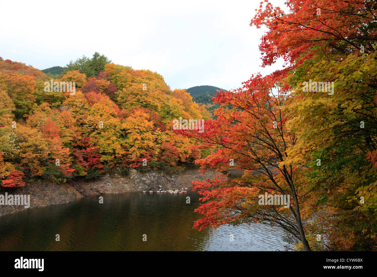 Taihei Lake with autumn colours Akita Tohoku Japan Stock Photo - Alamy