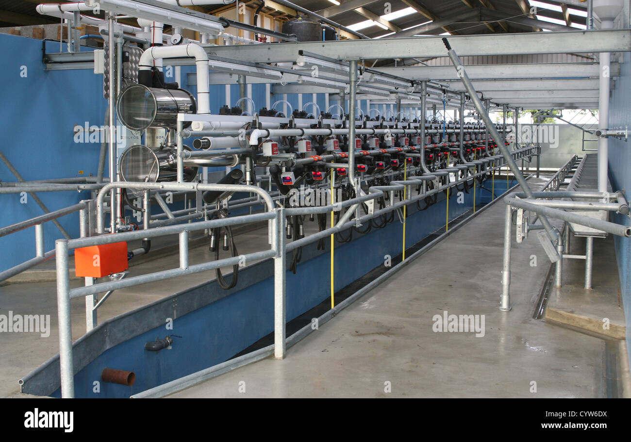 Fast milking hi-res stock photography and images - Alamy