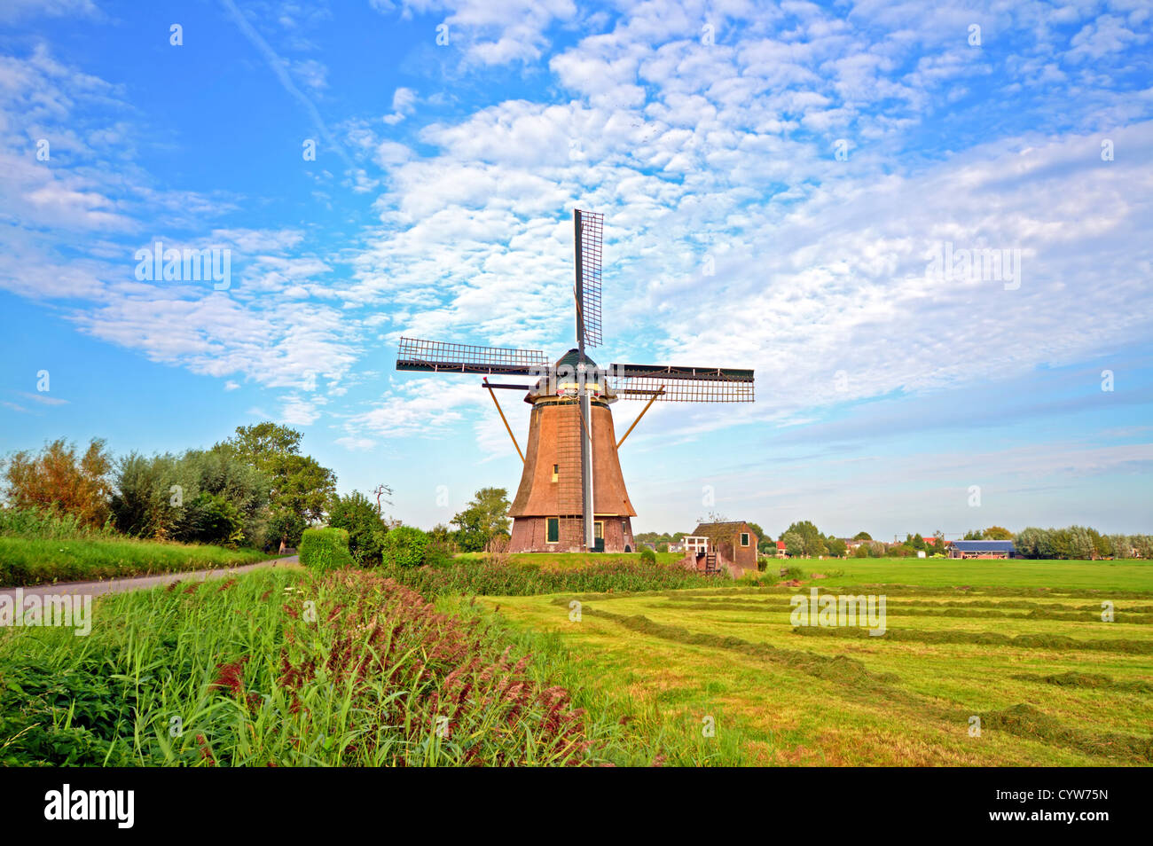 Traditional windmill in the countryside from the Netherlands Stock ...