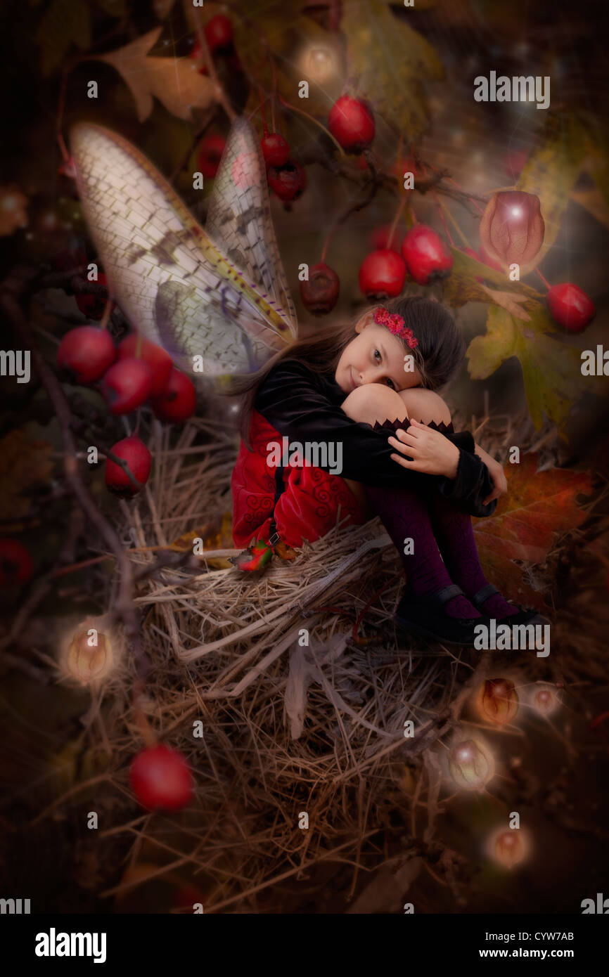 Fantasy Fairy Tale Forest High Resolution Stock Photography and Images ...