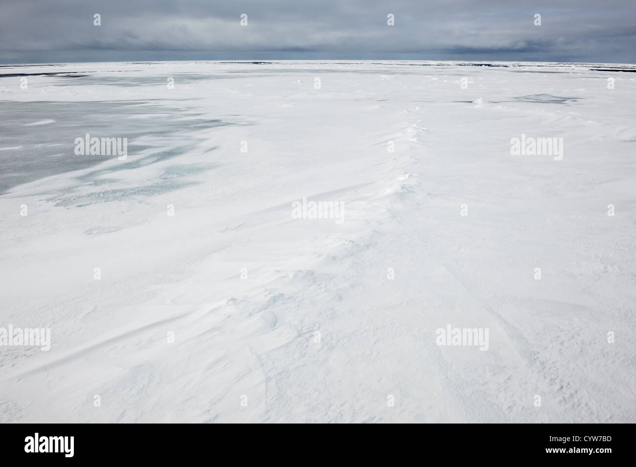 Oceanic forms hi-res stock photography and images - Alamy