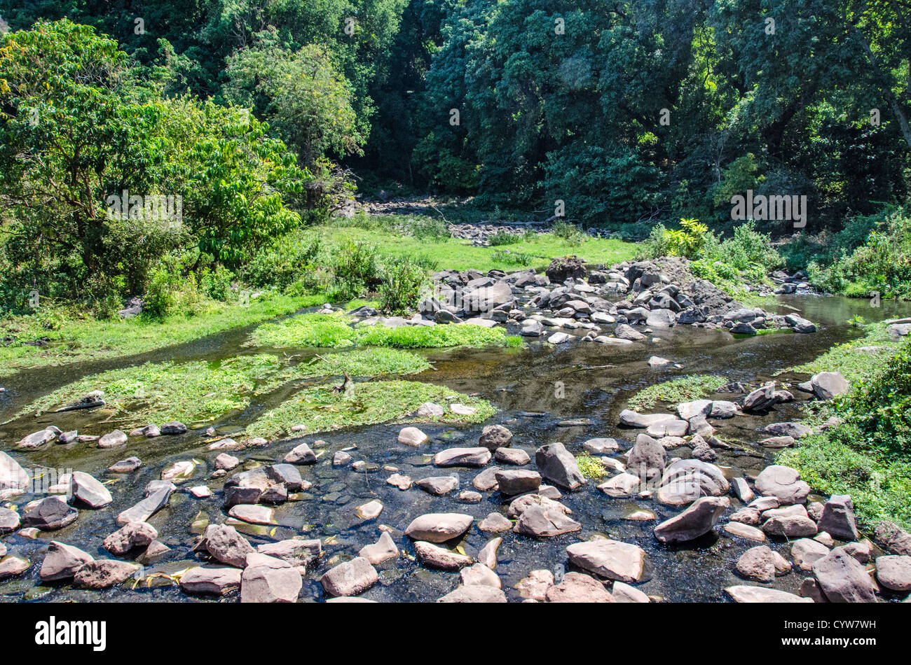 LAKE MANYARA NATIONAL PARK, Tanzania — A creek flows through Lake ...