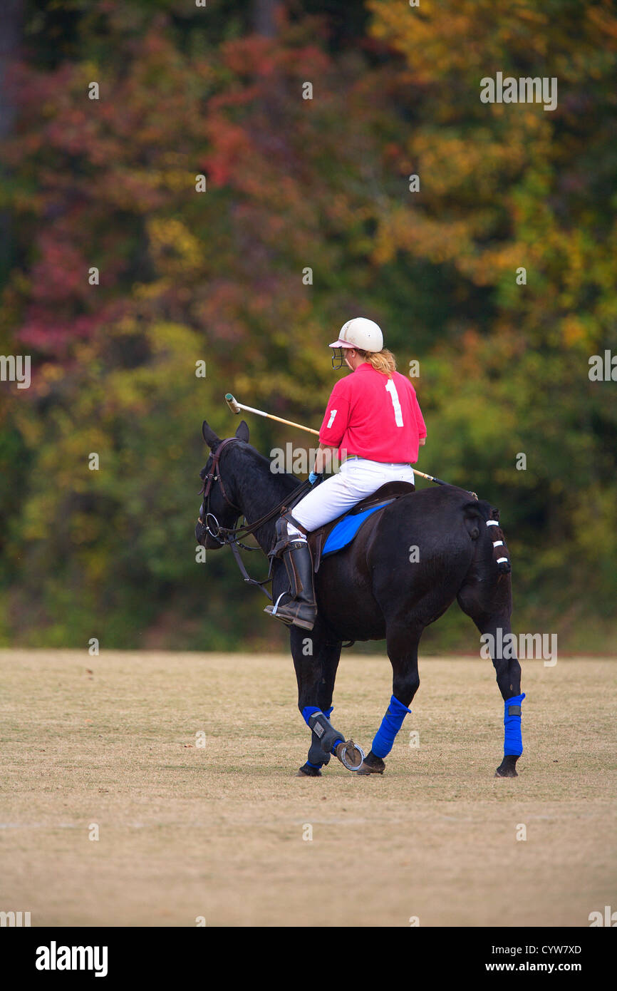 Polo Match at Atlanta Regional Polo Center - October 2012 Stock Photo - Alamy