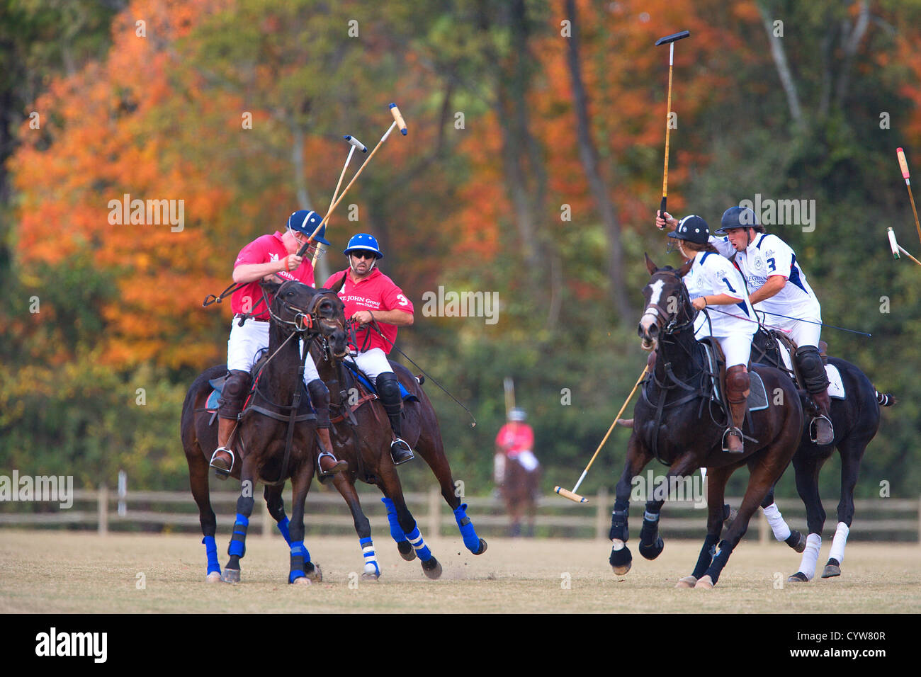 Polo Match at Atlanta Regional Polo Center - October 2012 Stock Photo - Alamy