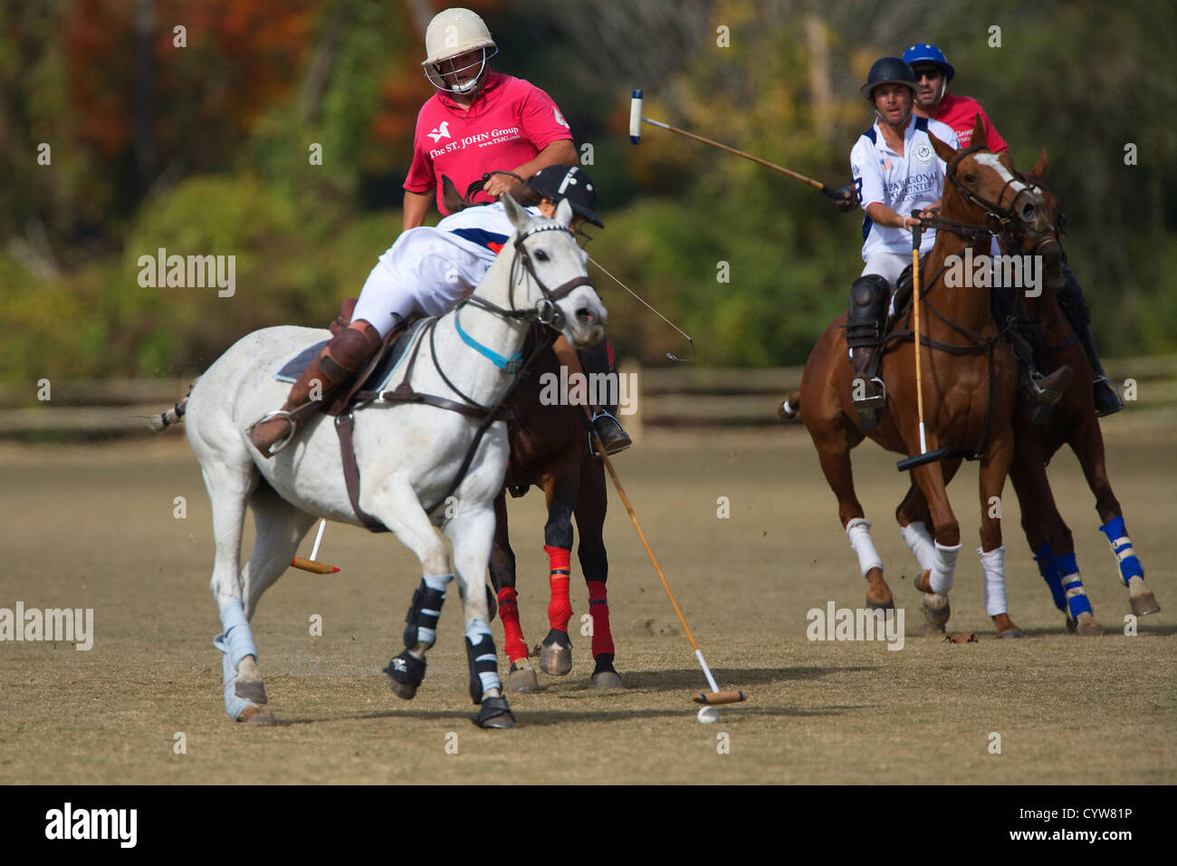 Multiple horse hi-res stock photography and images - Alamy