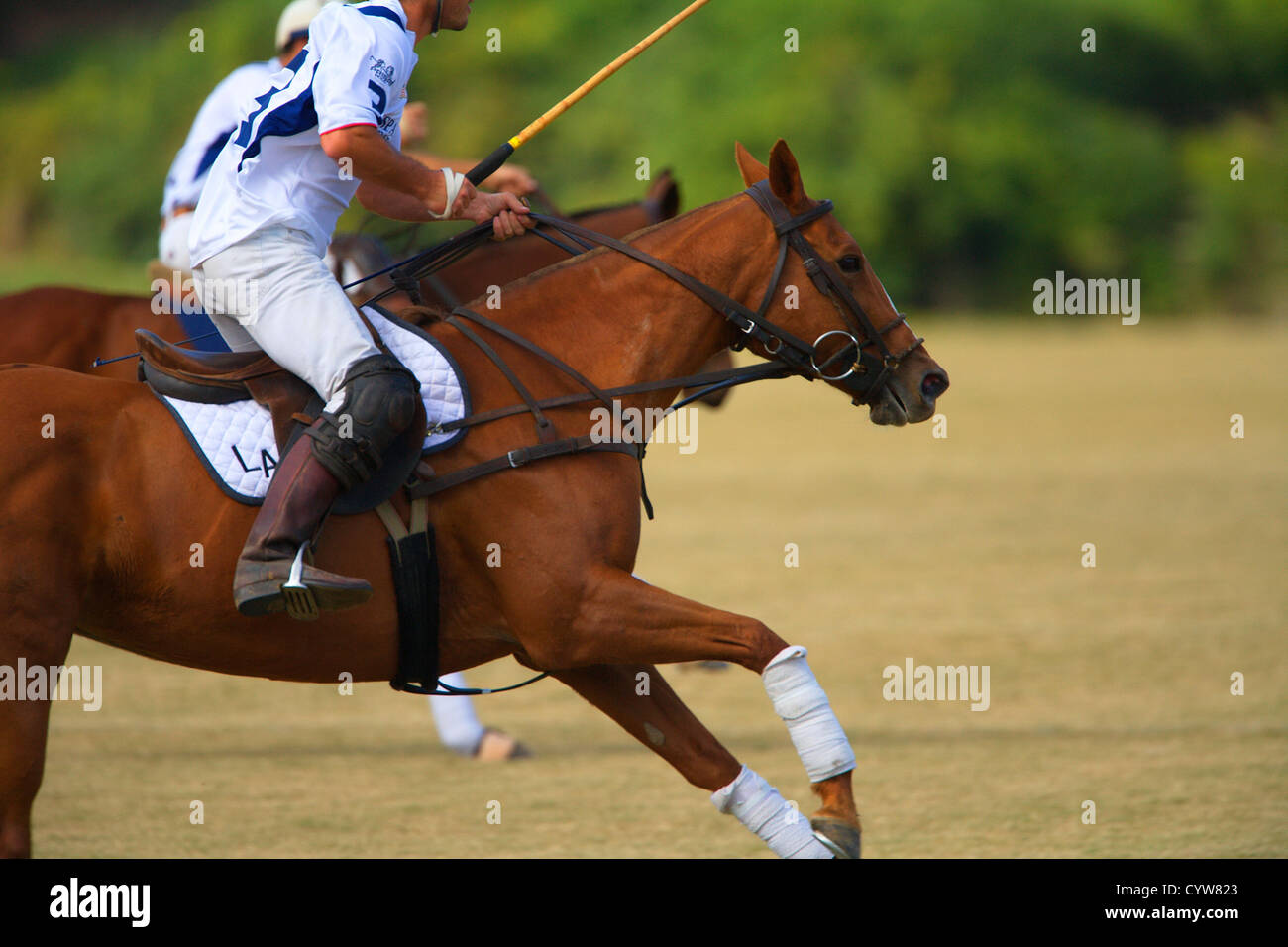 Polo Match at Atlanta Regional Polo Center - October 2012 Stock Photo ...