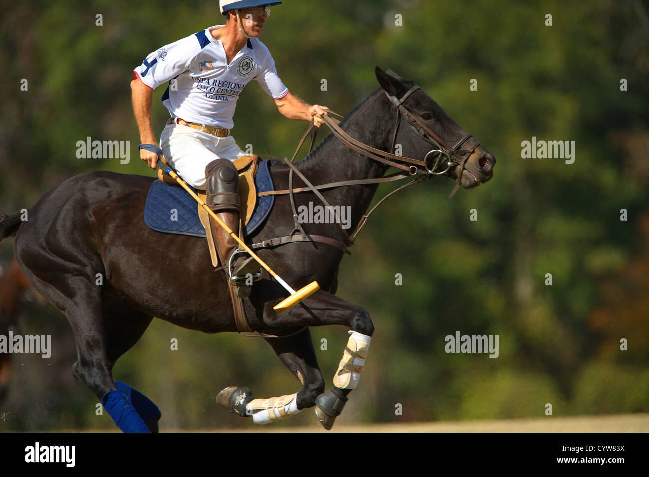 Polo Match at Atlanta Regional Polo Center - October 2012 Stock Photo - Alamy