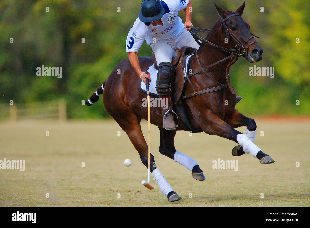 Polo Match at Atlanta Regional Polo Center - October 2012 Stock Photo ...