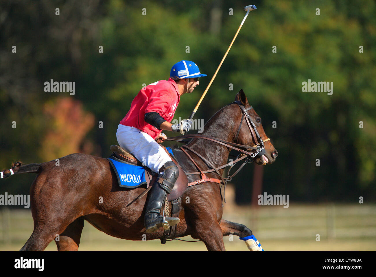 Polo Match at Atlanta Regional Polo Center - October 2012 Stock Photo - Alamy