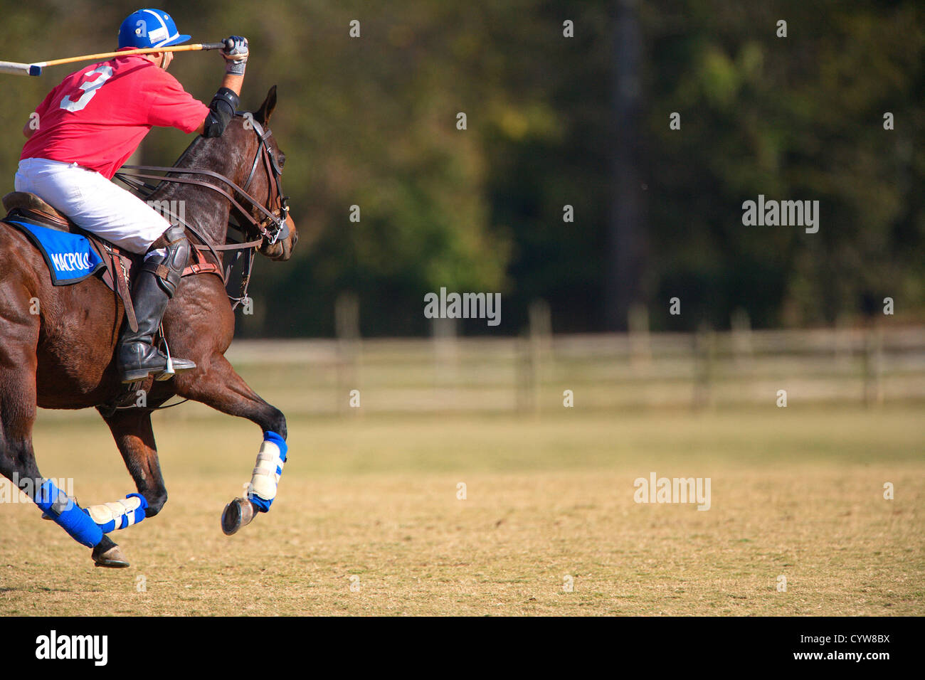 Polo Match at Atlanta Regional Polo Center - October 2012 Stock Photo - Alamy
