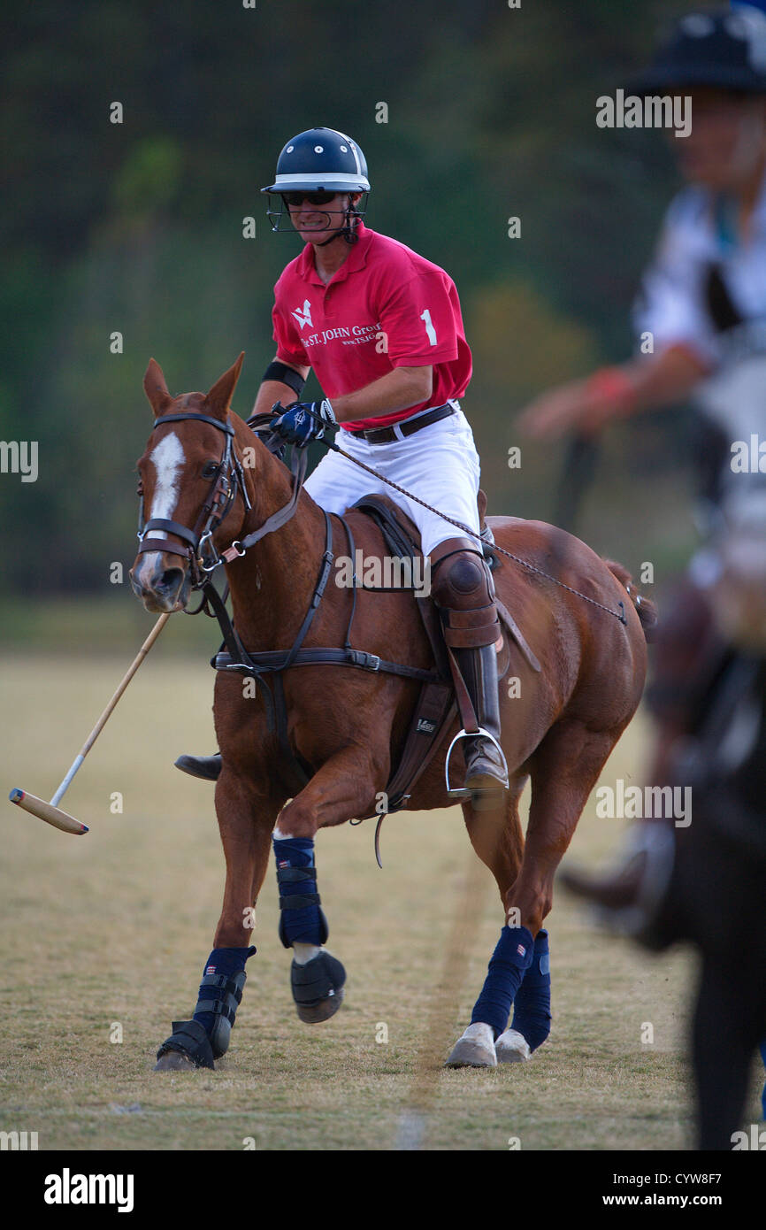 Multiple values hi-res stock photography and images - Alamy