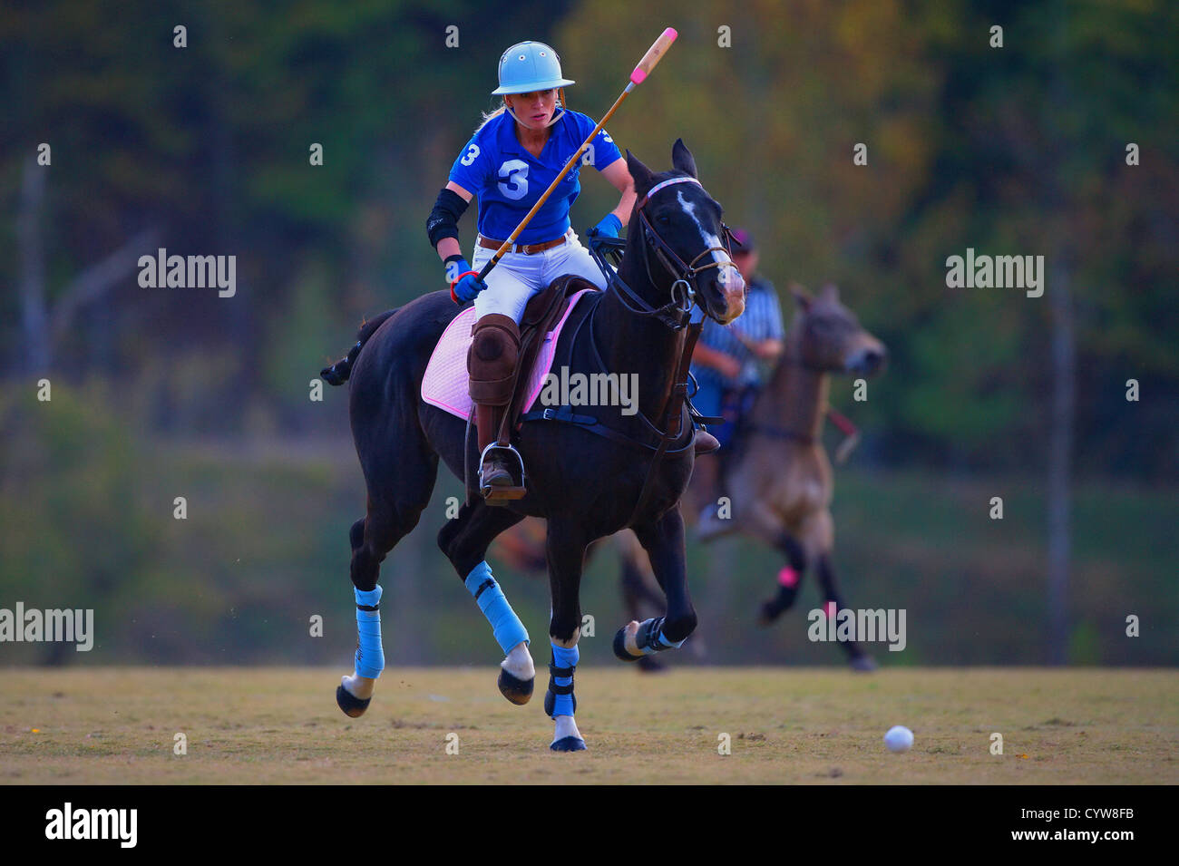 Polo Match at Atlanta Regional Polo Center - October 2012 Stock Photo - Alamy