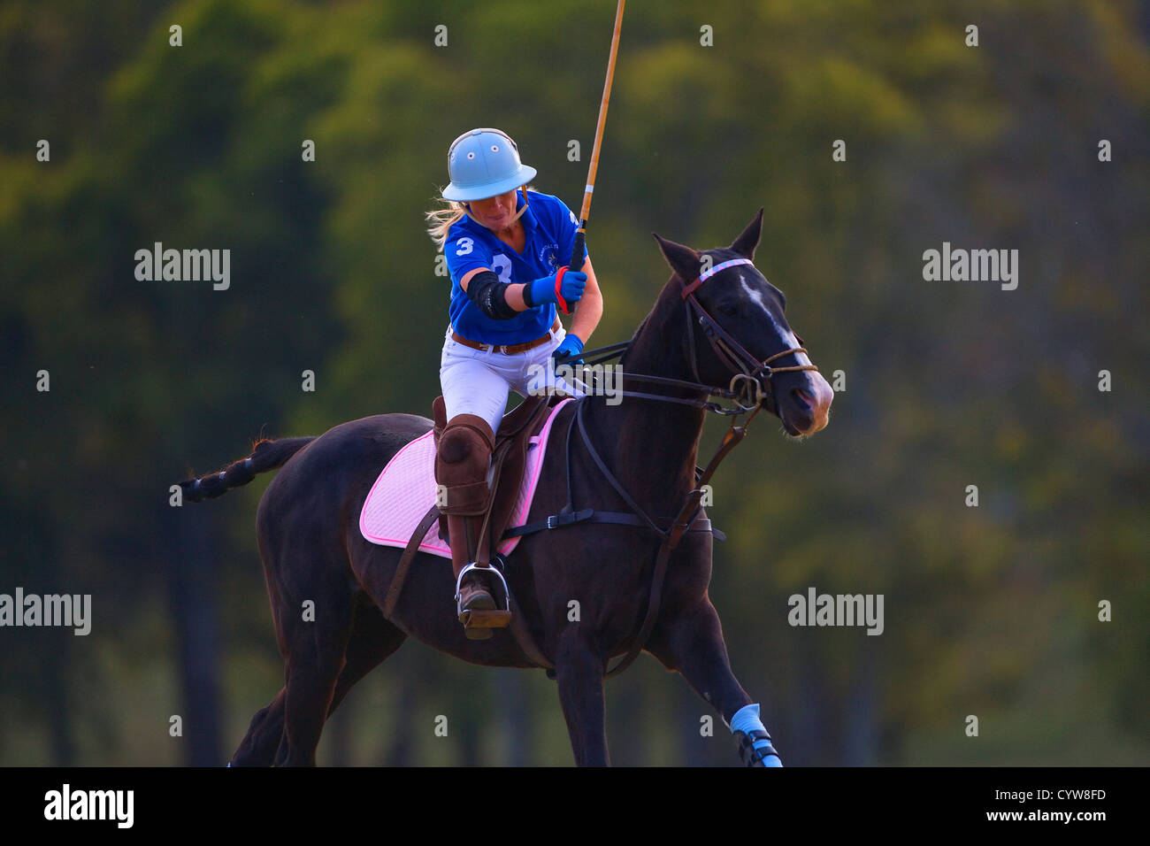 Polo ball on grass hi-res stock photography and images - Alamy