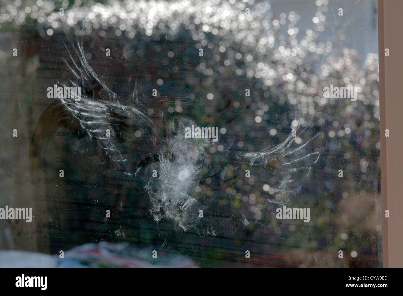 Dust spread on glass hi-res stock photography and images - Alamy