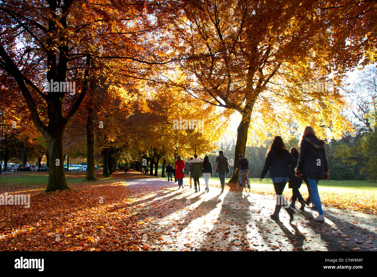 Promenade clifton hi-res stock photography and images - Alamy