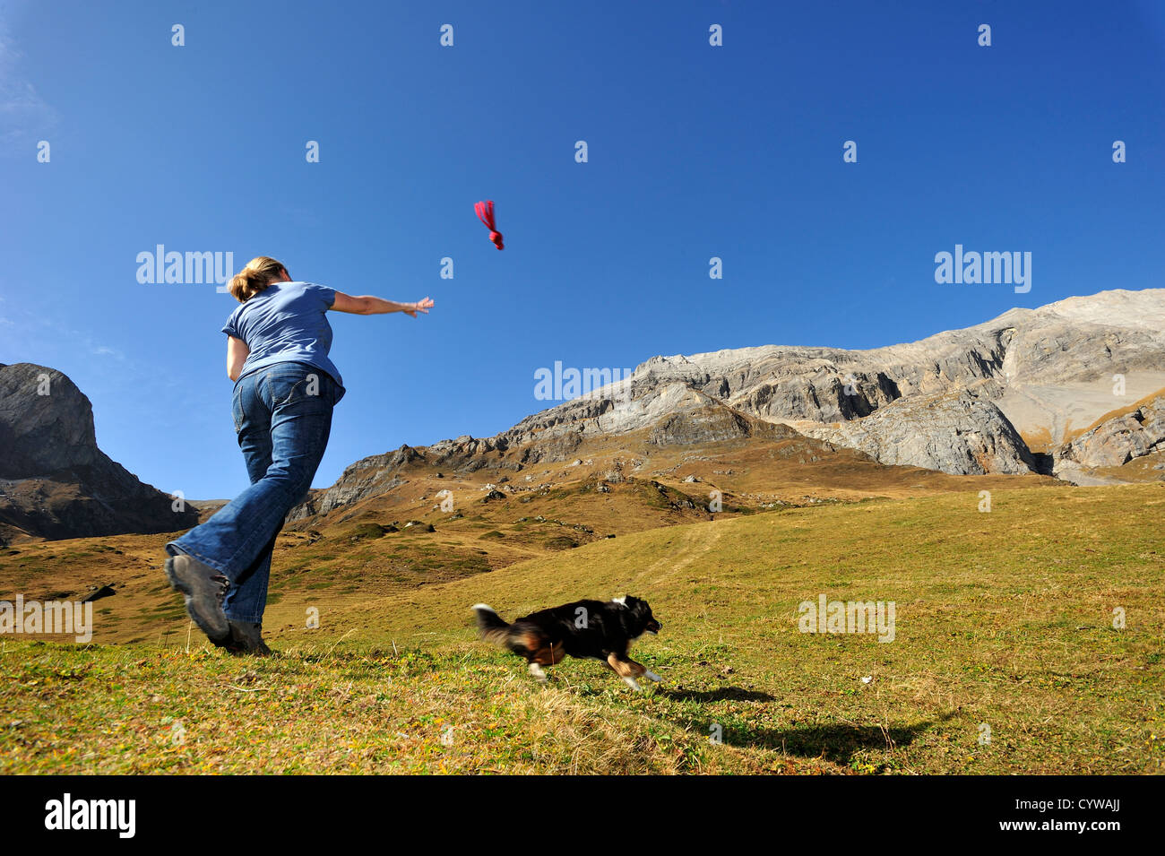 Alp Dog High Resolution Stock Photography and Images - Alamy