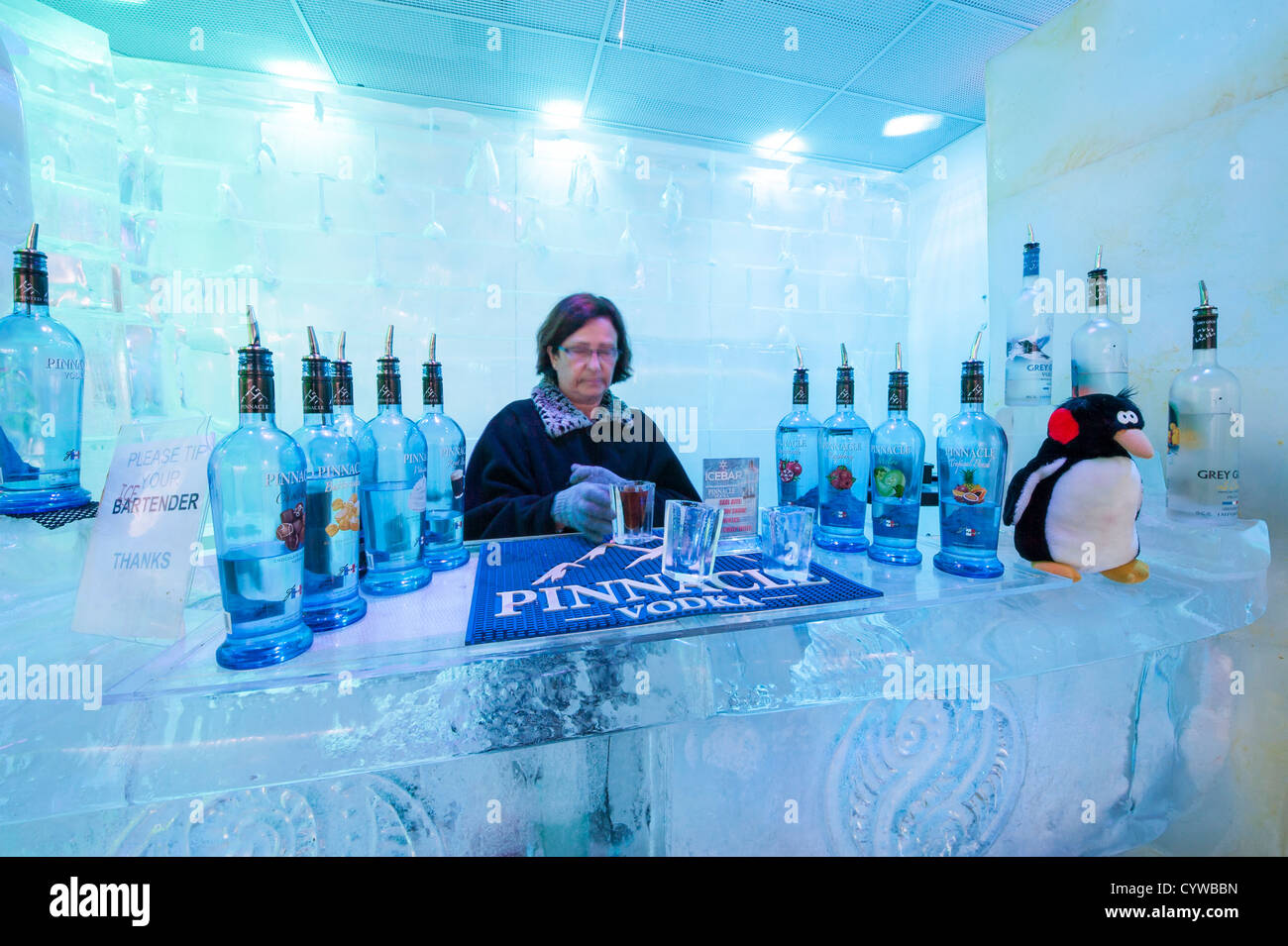 Ice Bar Orlando Florida
