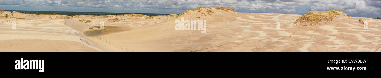 View on panorama of dunes in Leba, National Polish Park Stock Photo - Alamy