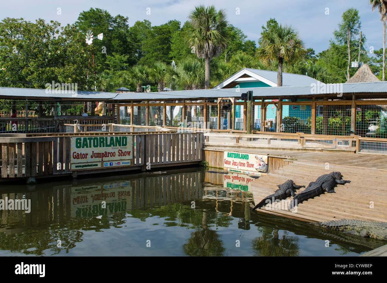 Zoo alligators hi-res stock photography and images - Alamy