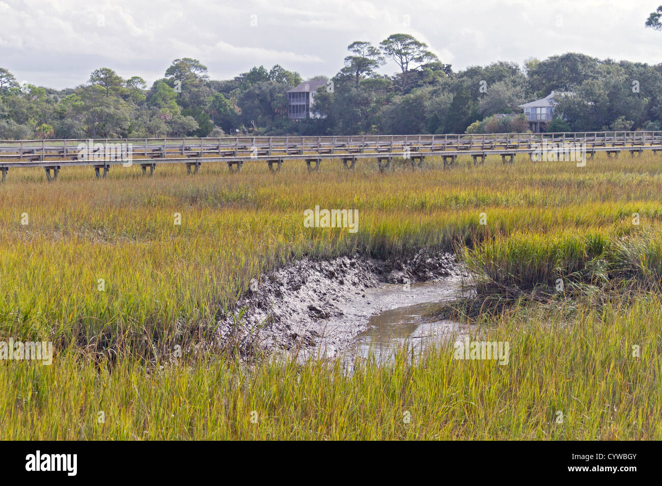 Wet land slough hi-res stock photography and images - Alamy