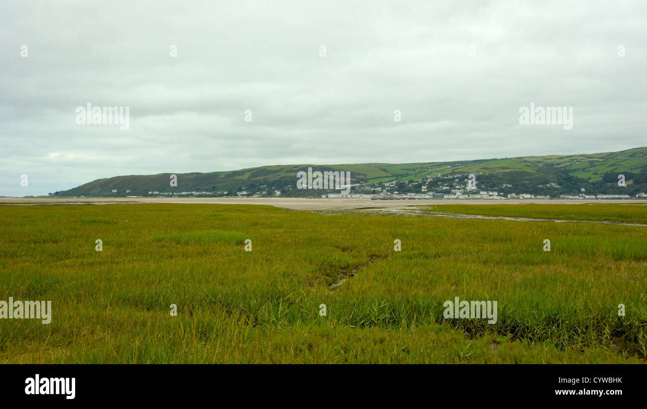 Dyfi estuary saltmarsh hi-res stock photography and images - Alamy