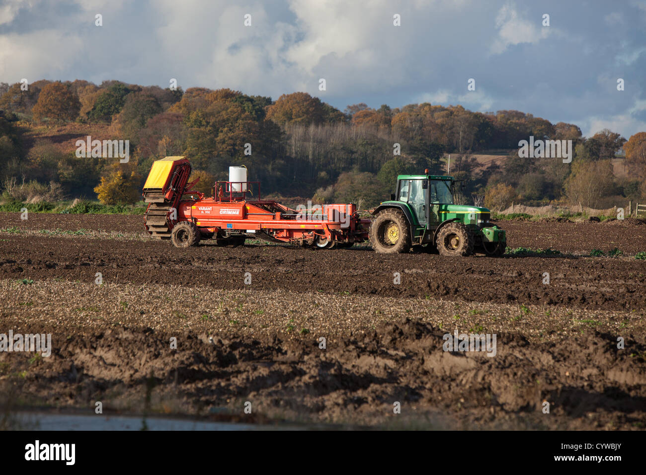 Staffordshire, UK. 10th November 2012. A Tractor and a potato harvester ...