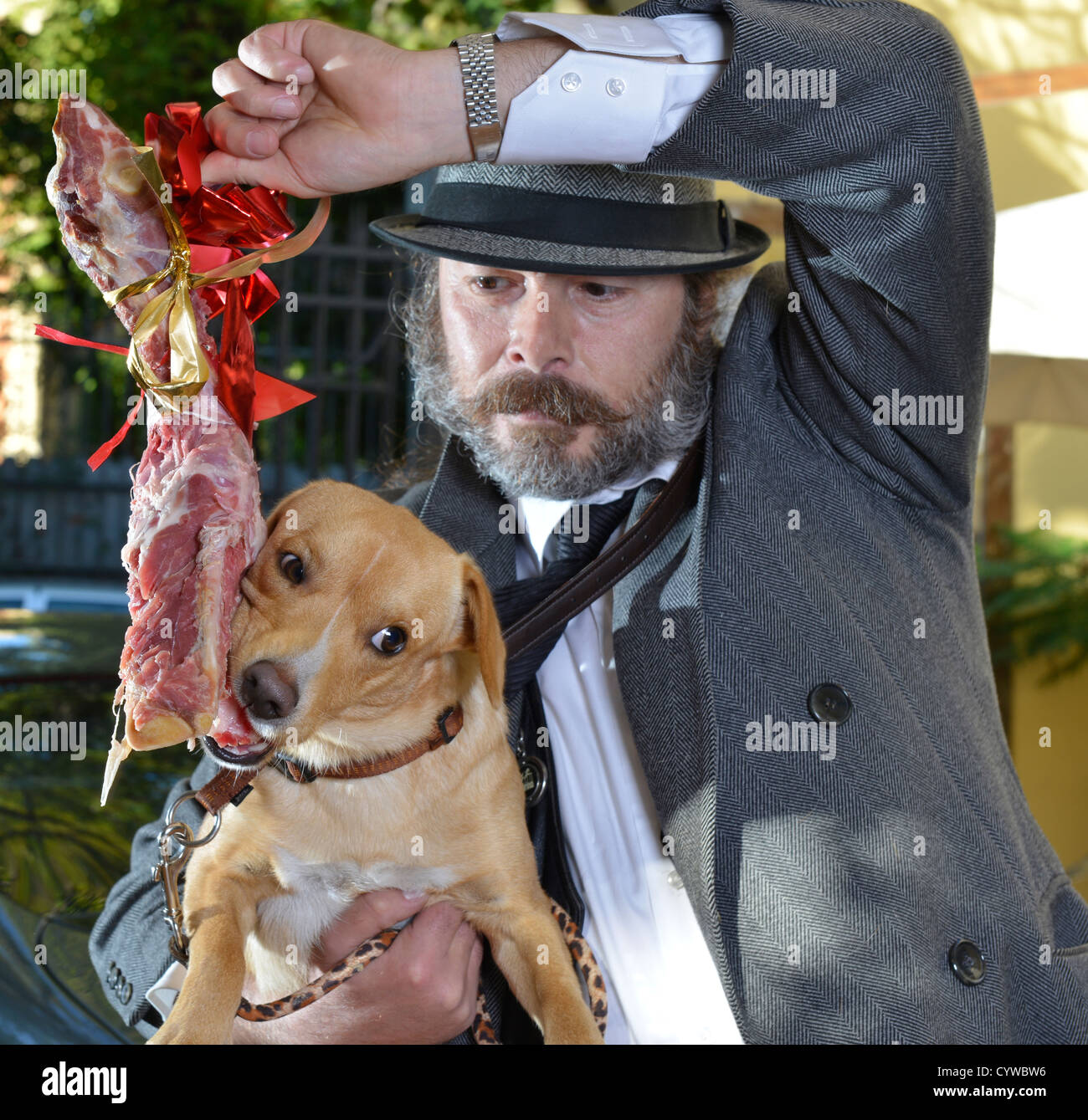 Dog and master Stock Photo - Alamy