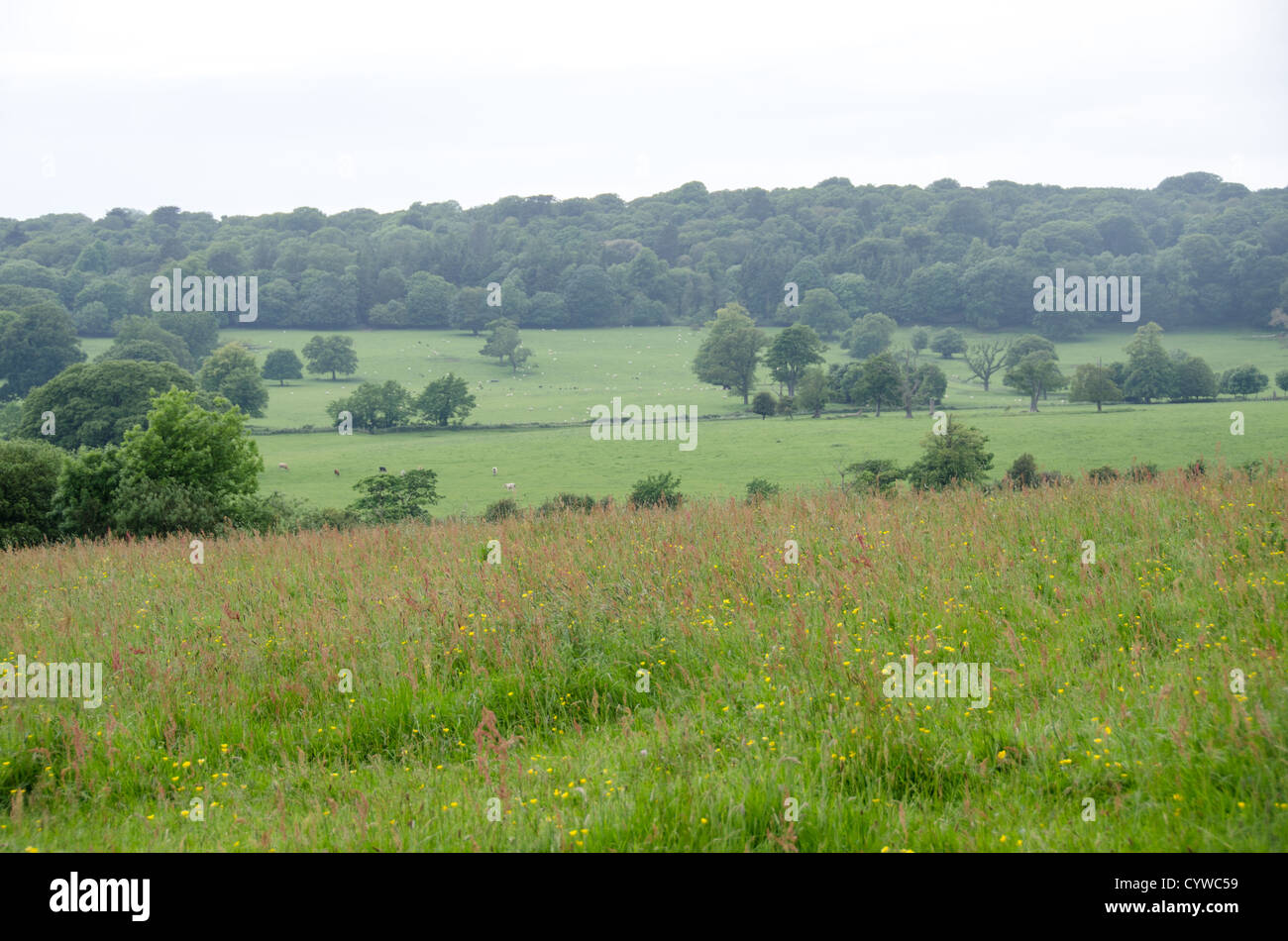Welsh landmarks hi-res stock photography and images - Alamy