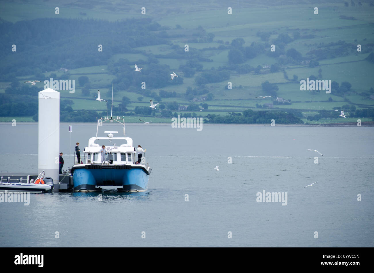 Beaumaris waterfront attractions hi-res stock photography and images ...