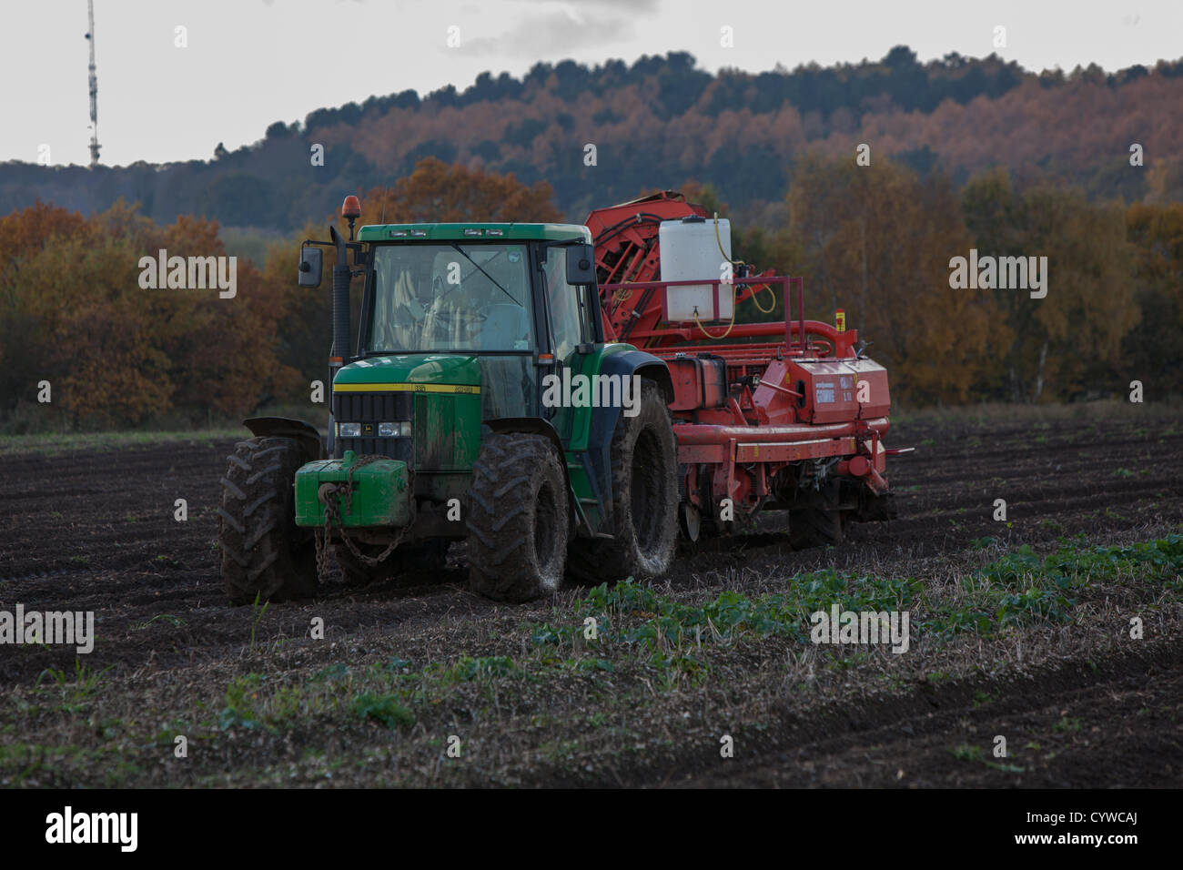Tractor and potato harvester stuck in a muddy field. Difficult ...