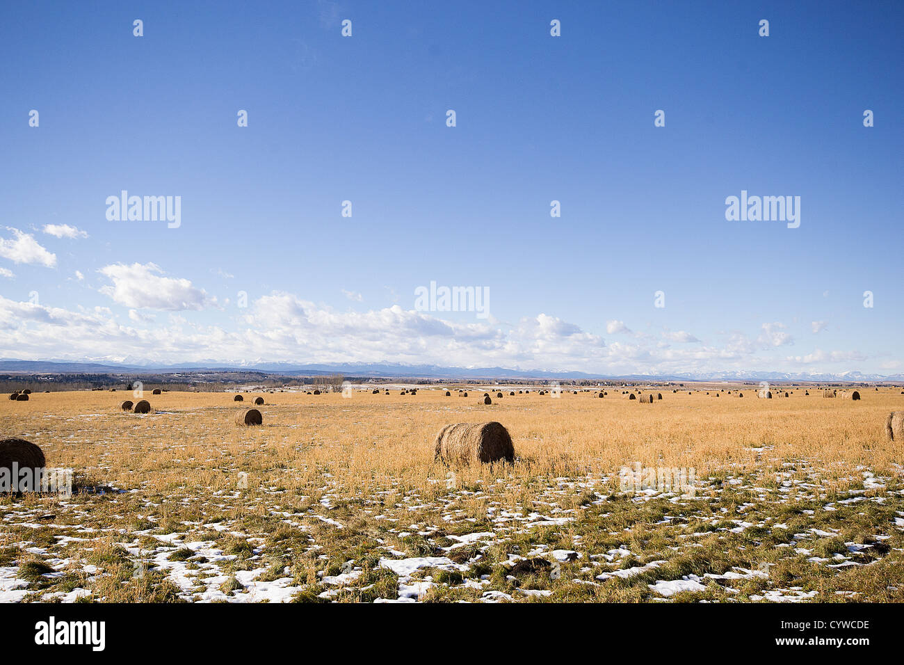Fall in alberta hi-res stock photography and images - Alamy