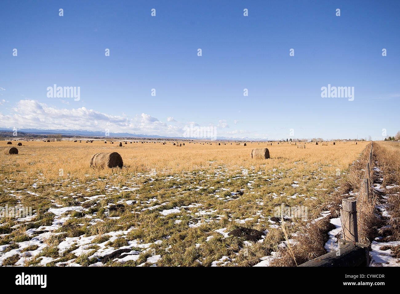 Fall in alberta hi-res stock photography and images - Alamy