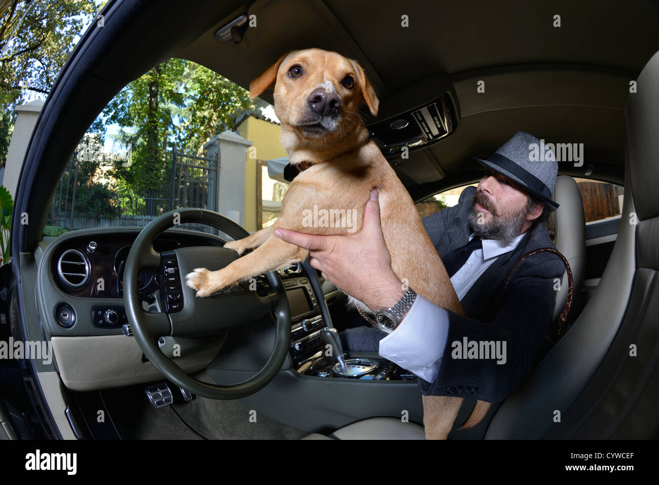 Dog and master Stock Photo - Alamy