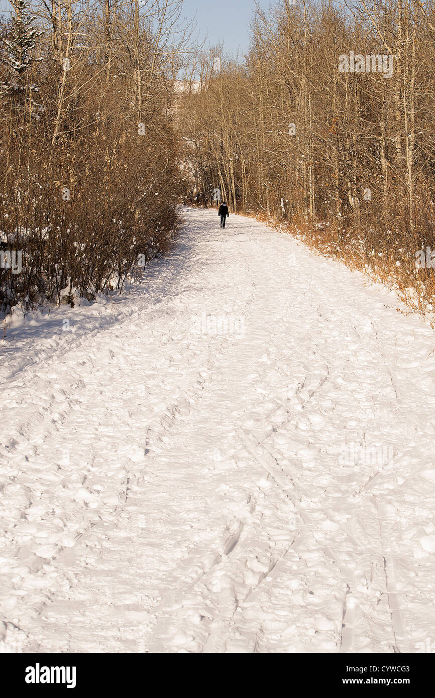 Trail with snow hi-res stock photography and images - Alamy
