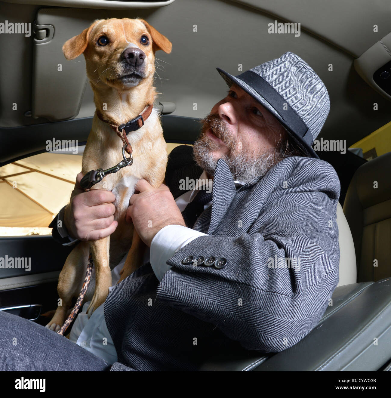 Dog and master Stock Photo - Alamy