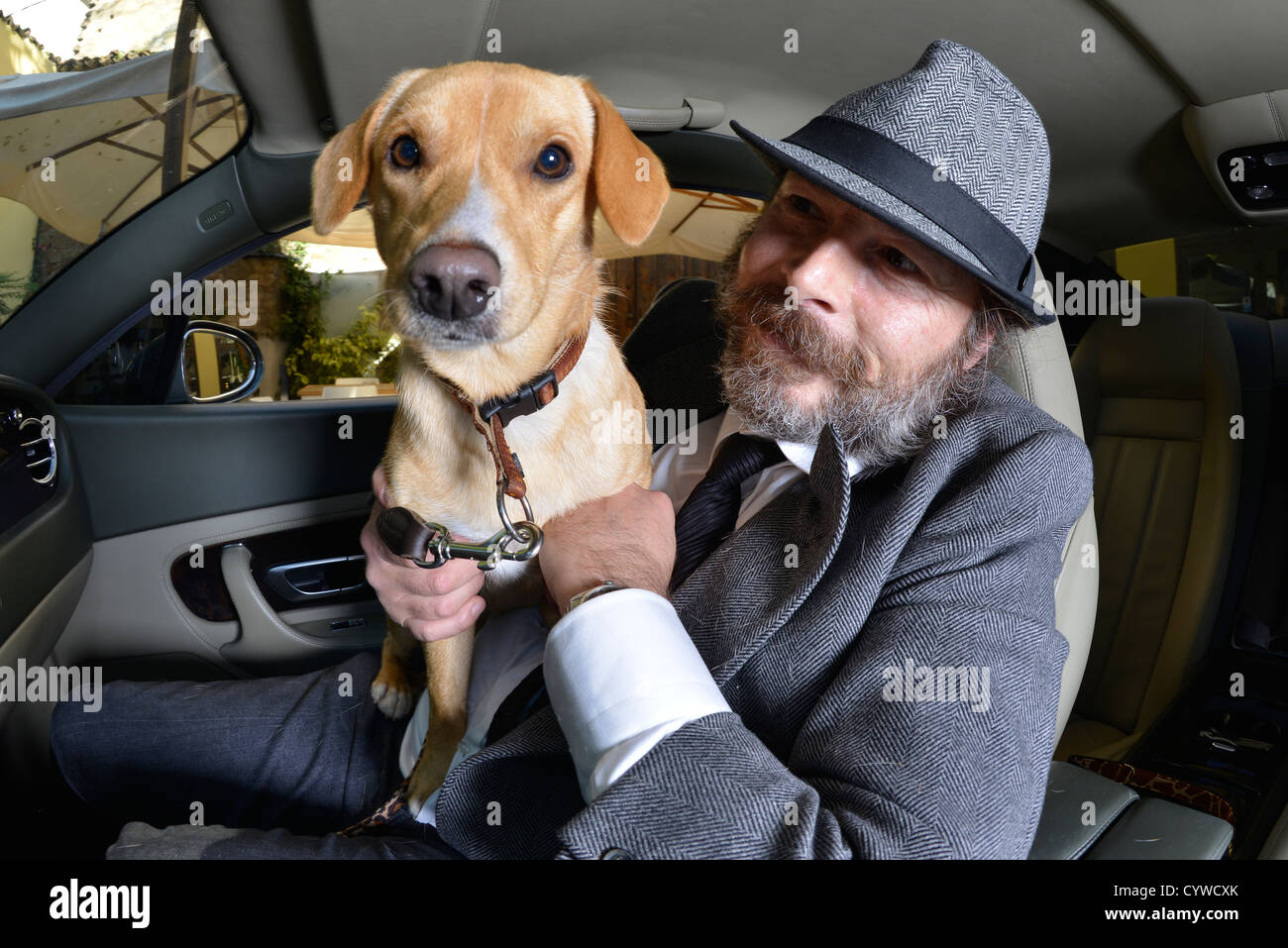 Dog and master Stock Photo - Alamy
