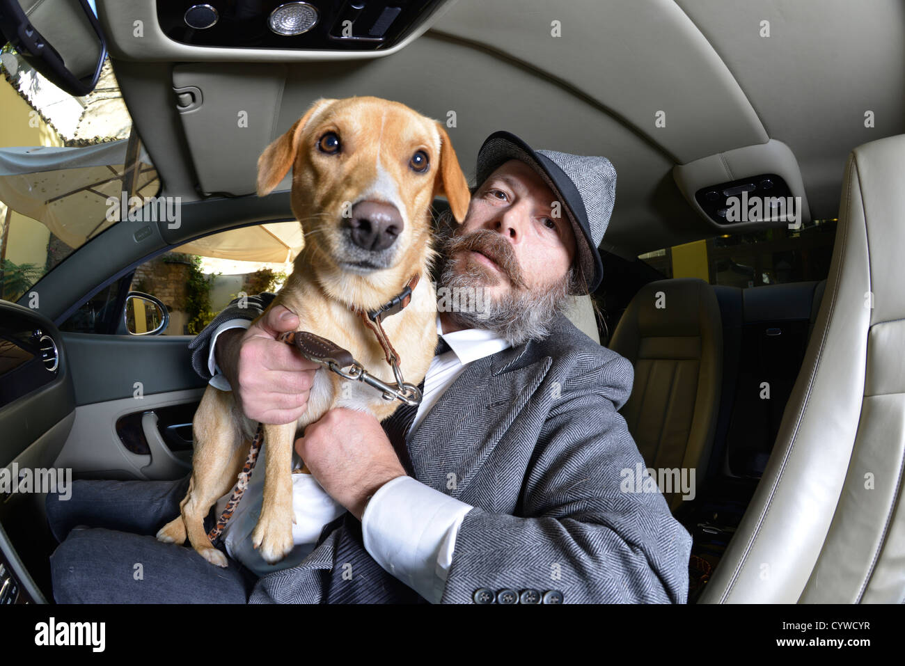 Dog and master Stock Photo - Alamy