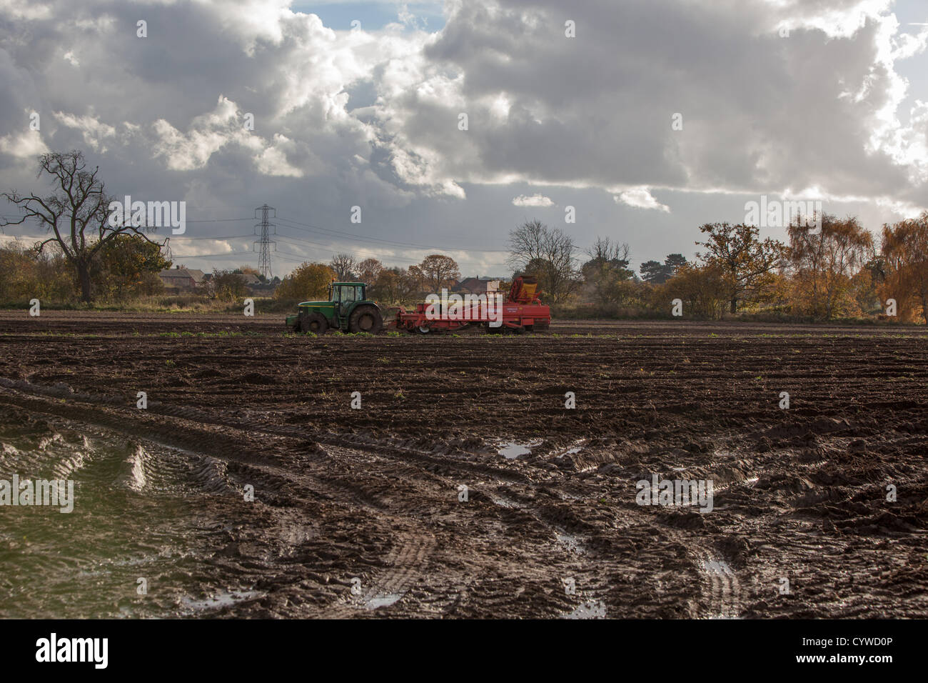 Tractor and potato harvester stuck in a muddy field. Difficult ...