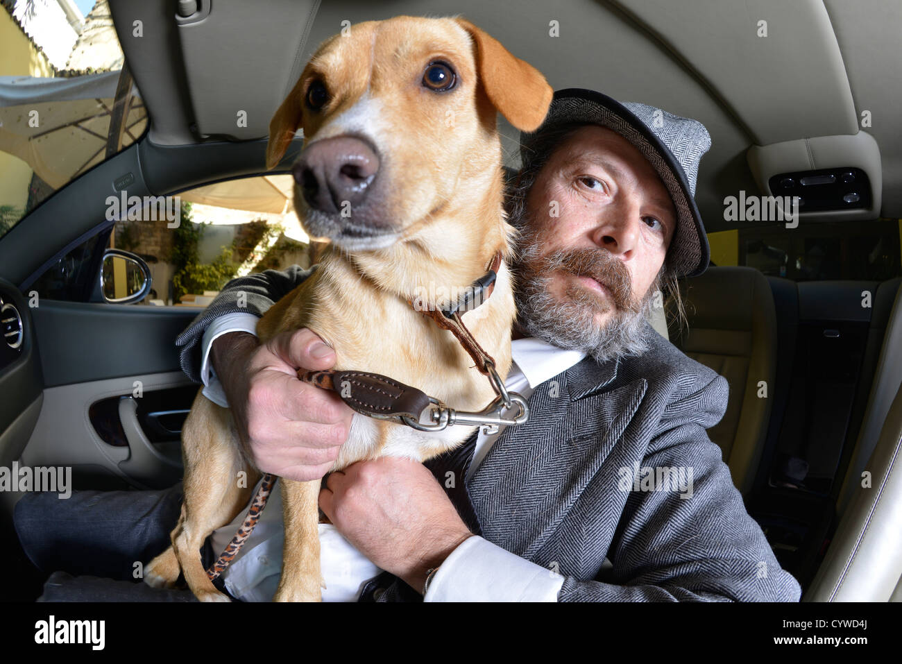 Dog and master Stock Photo - Alamy
