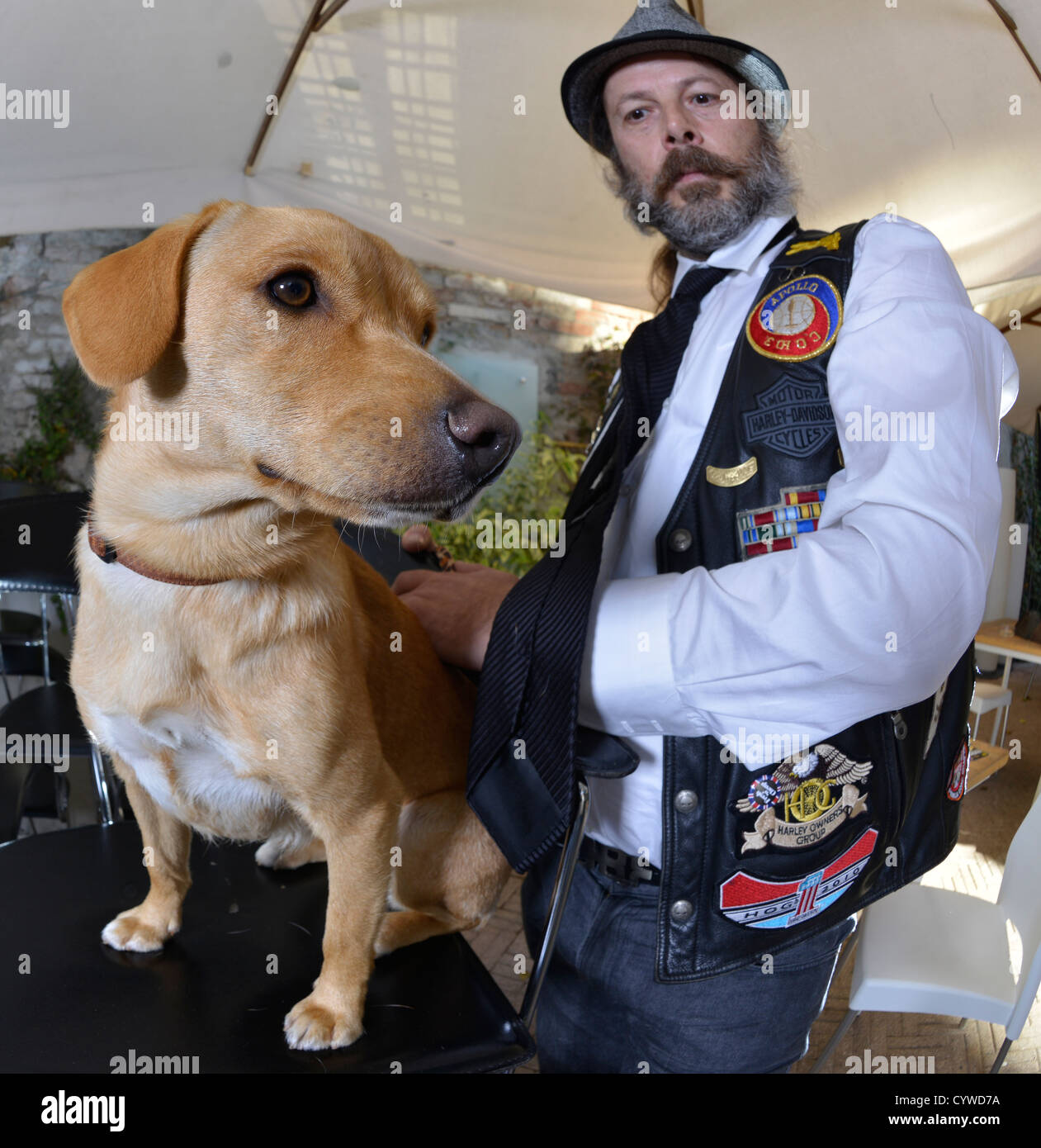 Dog and master Stock Photo - Alamy