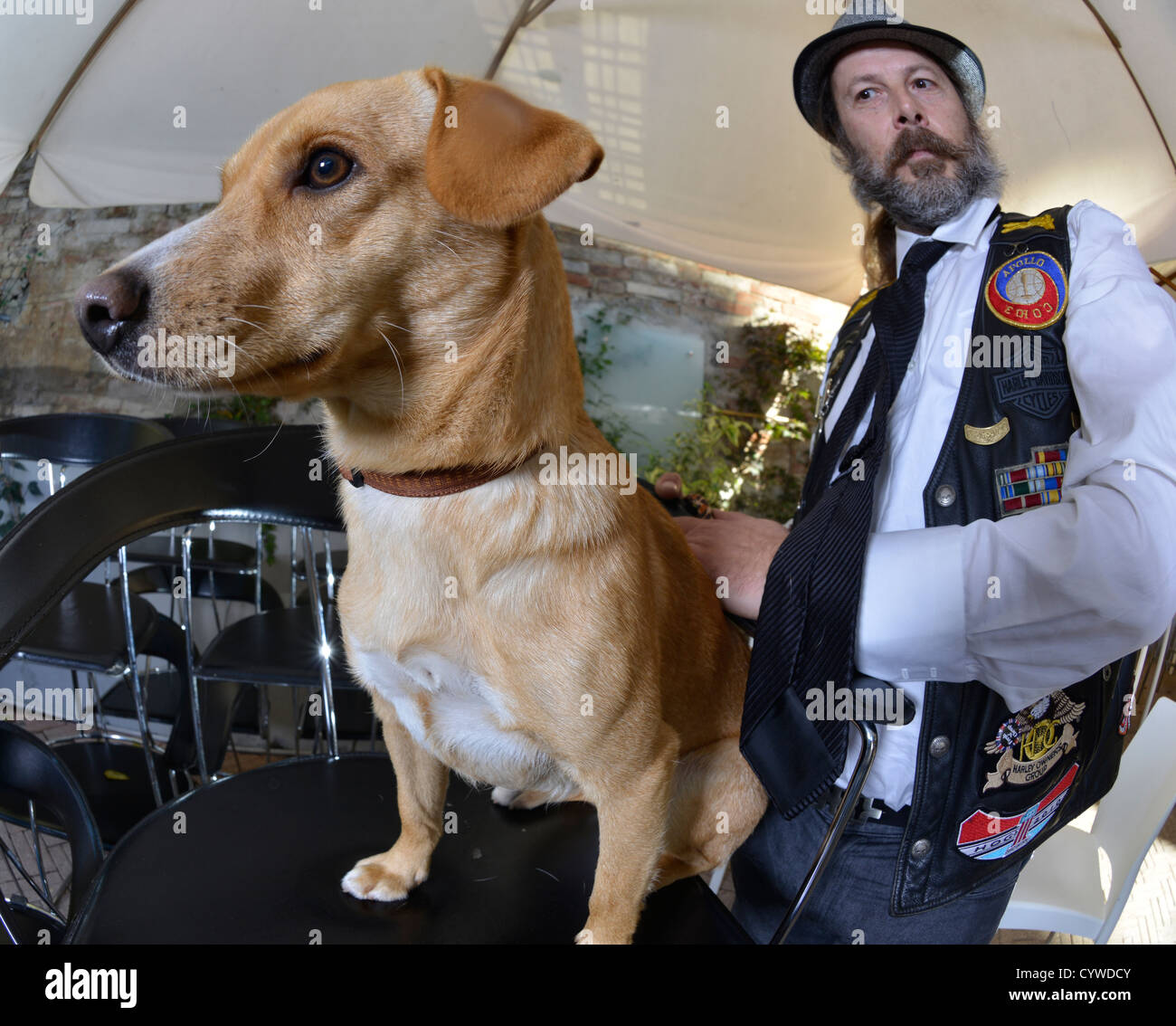 Dog and master Stock Photo - Alamy